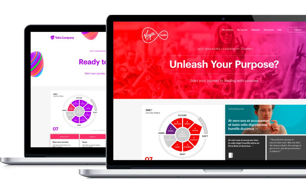 Self-Managing Leadership® - Oxford Leadership