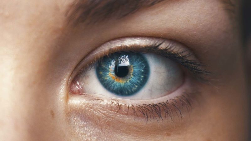 Using intuitive intelligence to guide decision-making - Oxford Leadership